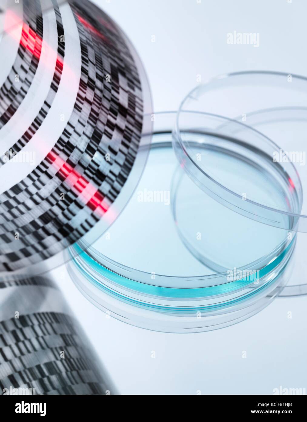 Dna profile hi-res stock photography and images - Alamy