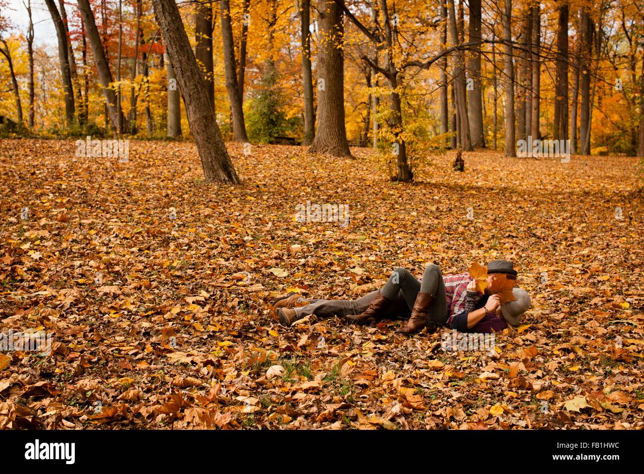 Young couple play fighting in autumn forest Stock Photo - Alamy