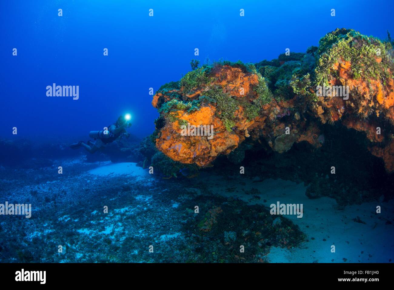 Arrowsmith hi-res stock photography and images - Alamy