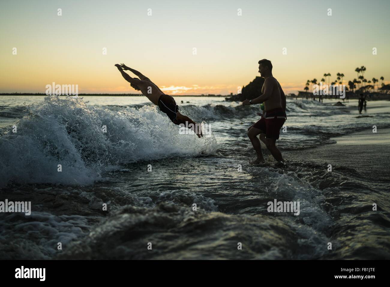 Young men diving into sea at sunset, Newport Beach, California, USA ...