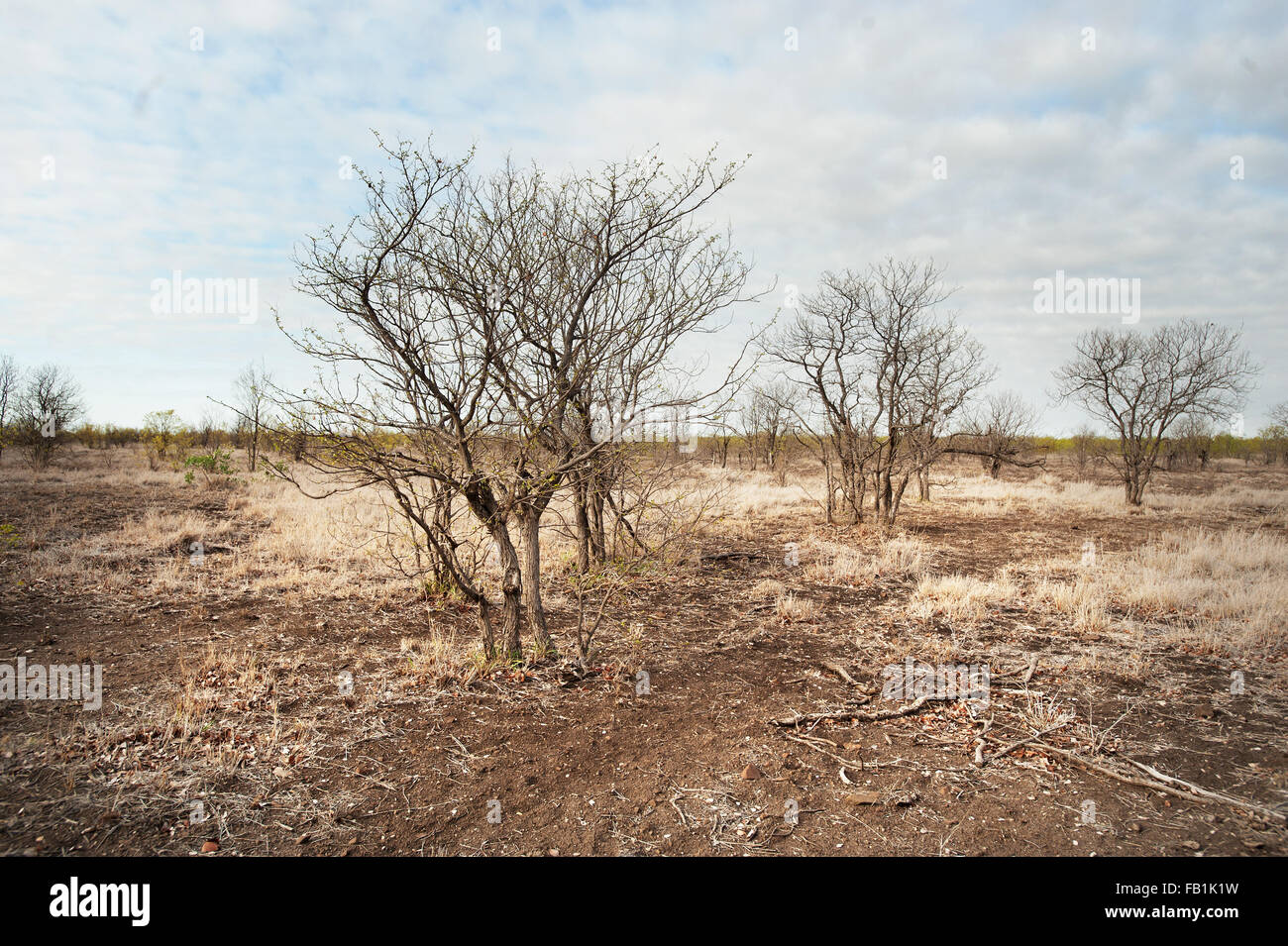 Drought Area High Resolution Stock Photography and Images - Alamy