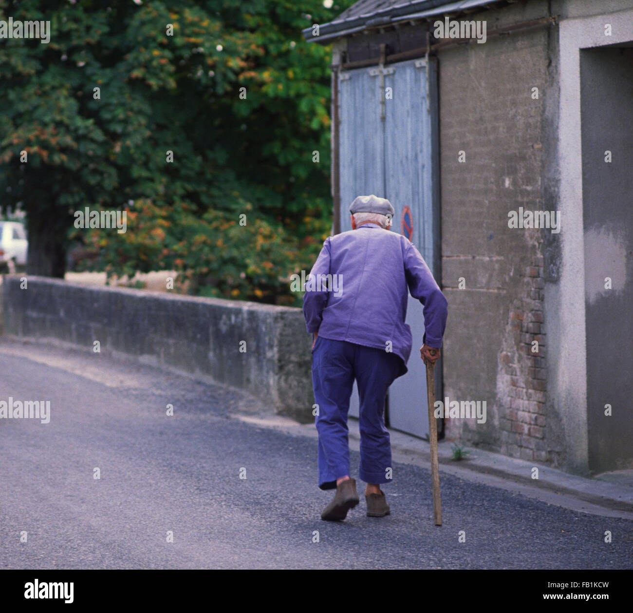 Crooked walking stick hi-res stock photography and images - Alamy
