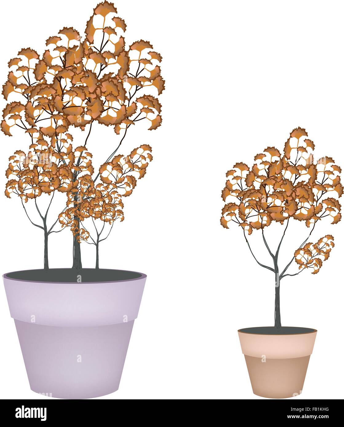 Illustration of Abstract Landscaping Tree Symbol or Isometric Brown ...