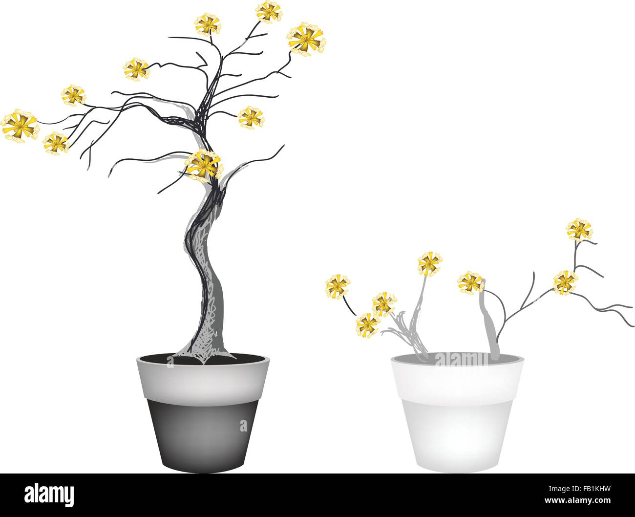 Flower and Plant, Illustration of Landscaping Tree Symbols or Isometric ...