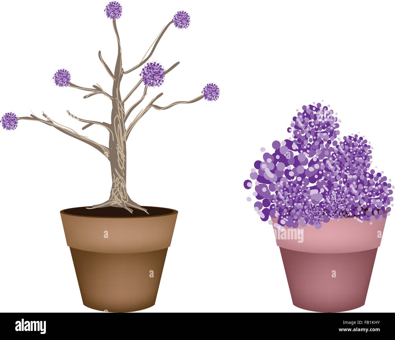 Hedge of purple plants Stock Vector Images - Alamy