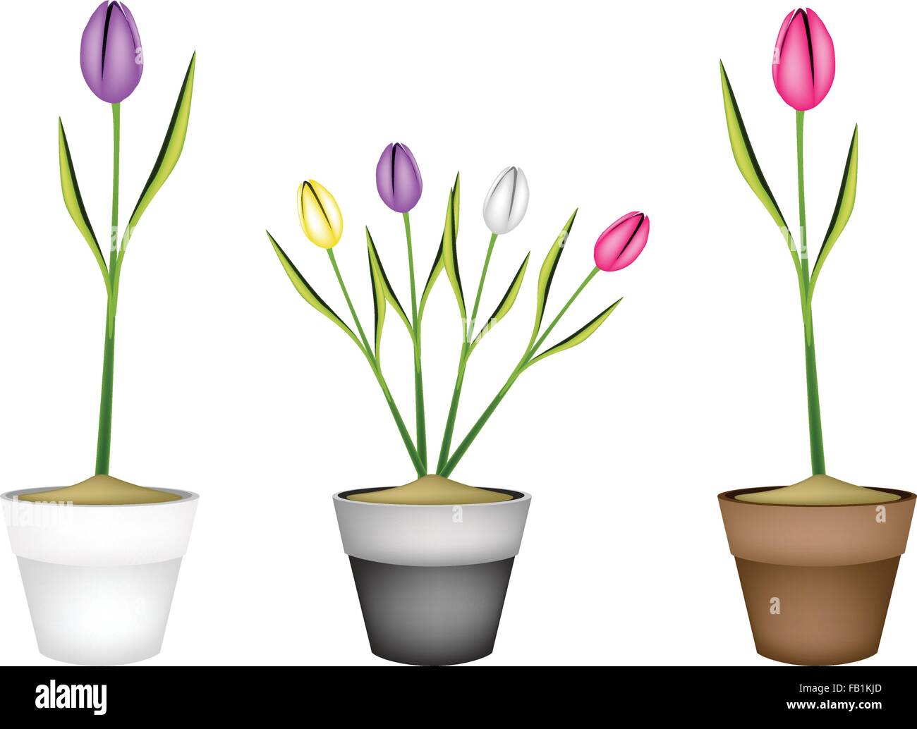Coloured clay pots Stock Vector Images - Alamy