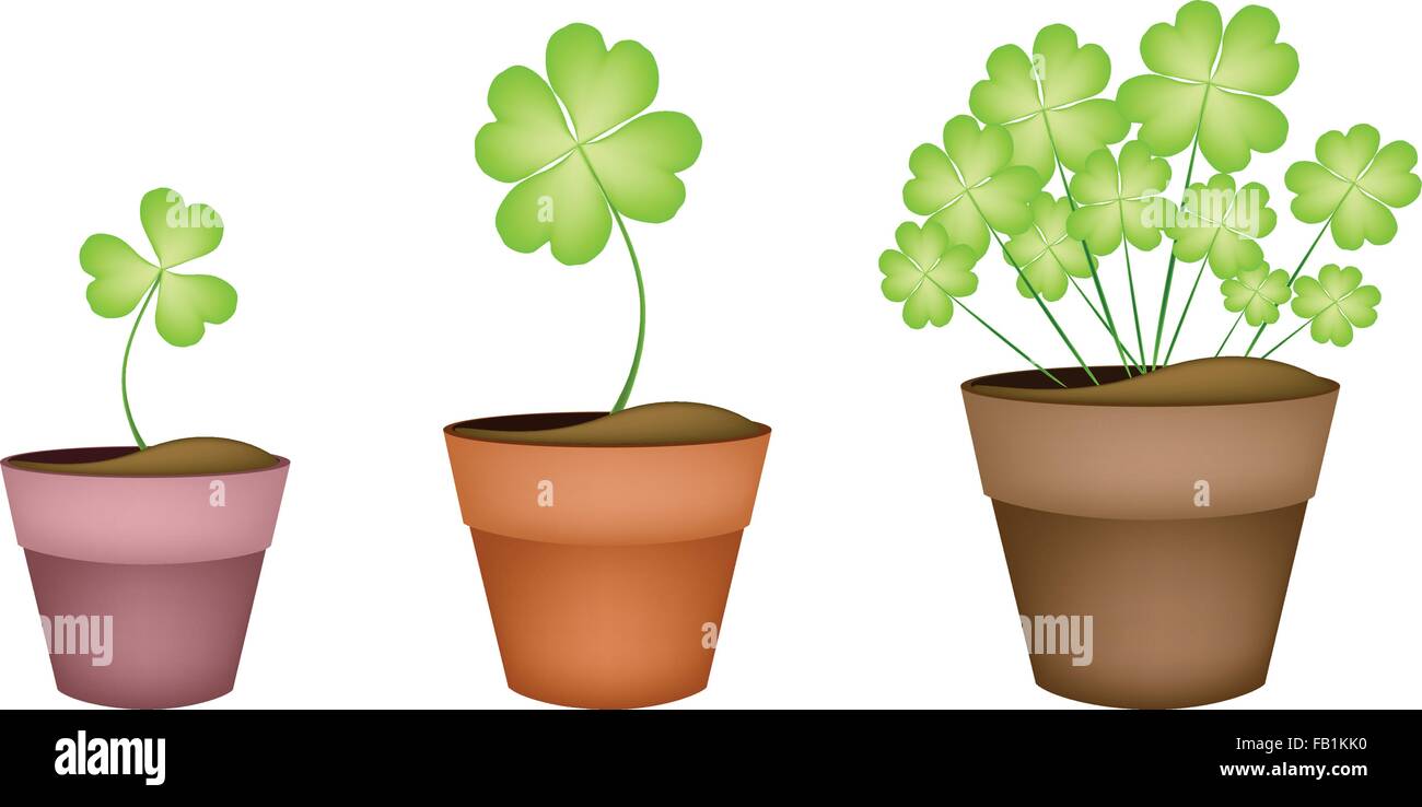 Symbols for Fortune and Luck, Illustration of Fresh Four Leaf Clover ...