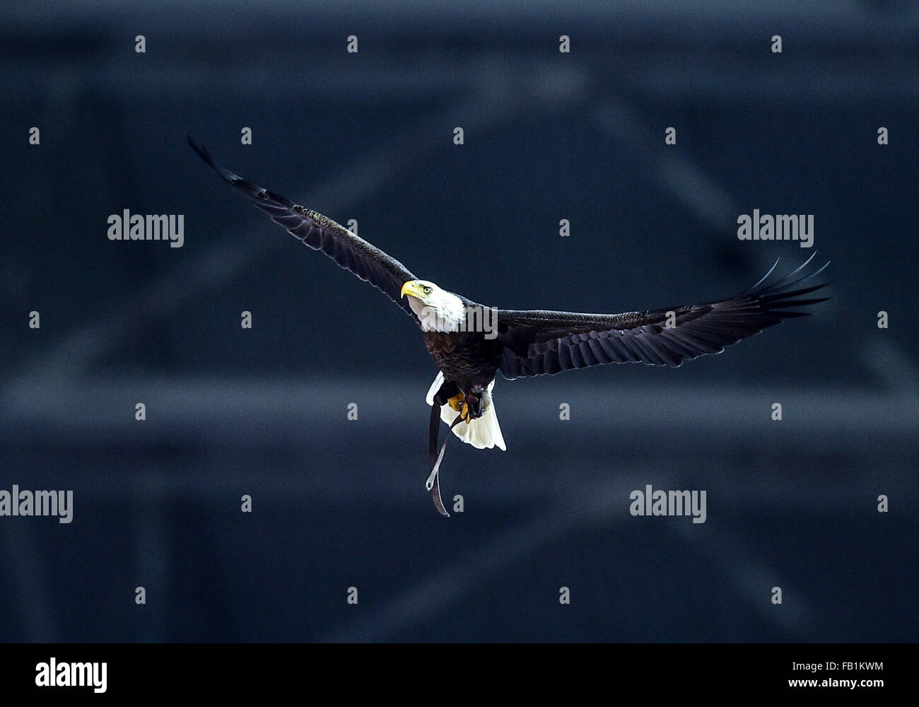 Eagle stadium stadium texas hi-res stock photography and images - Alamy