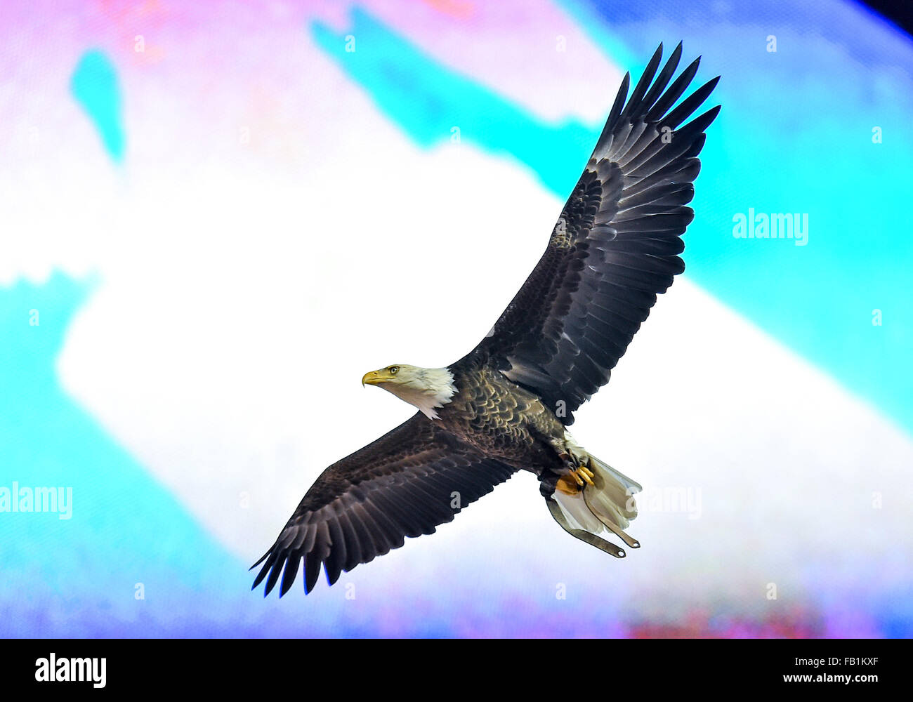 Eagle stadium stadium texas hi-res stock photography and images - Alamy