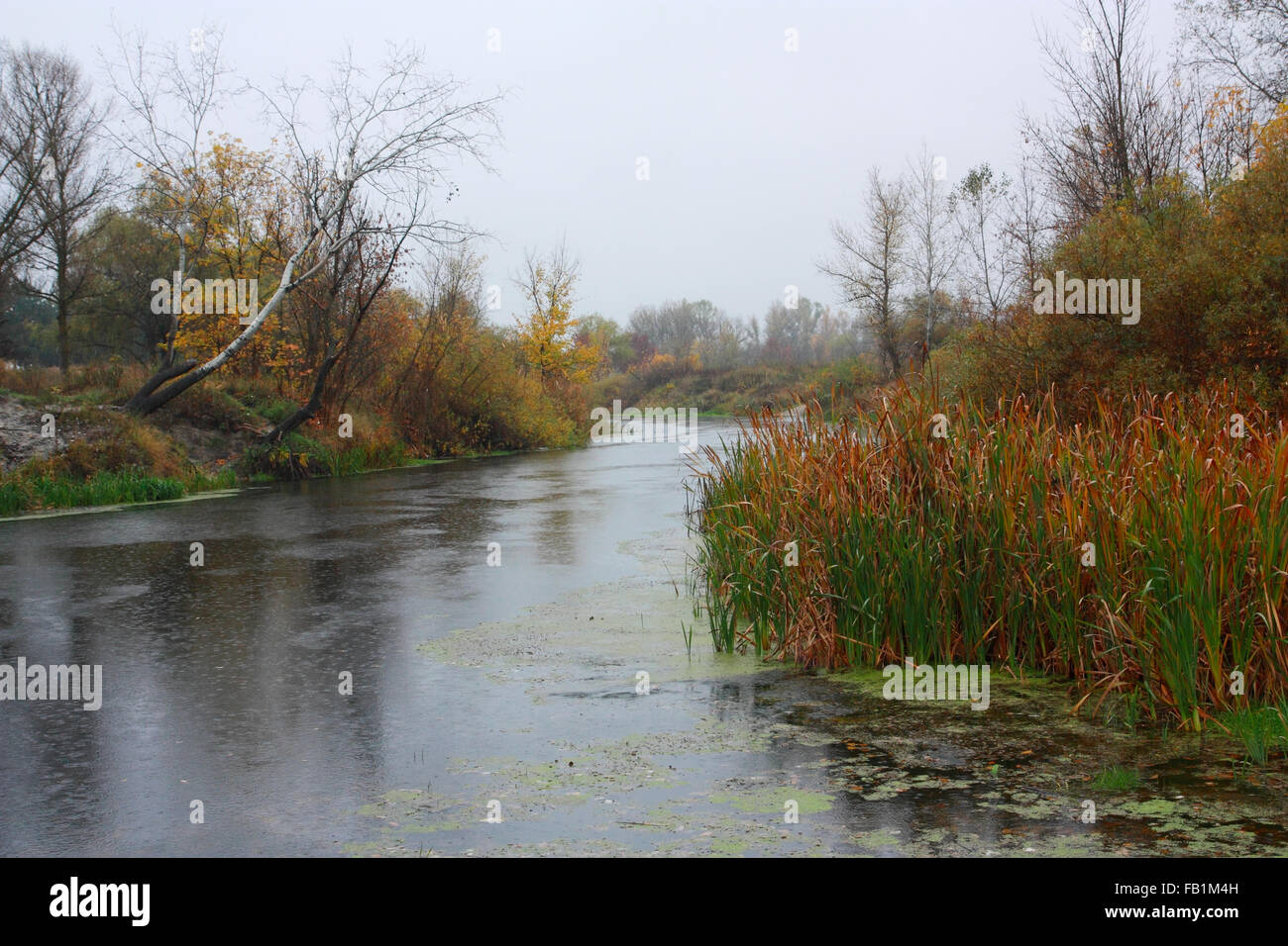 Landscape, river in the fall during the rain Stock Photo - Alamy