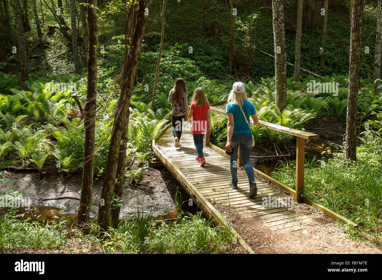 Walking in the forest Stock Photo - Alamy