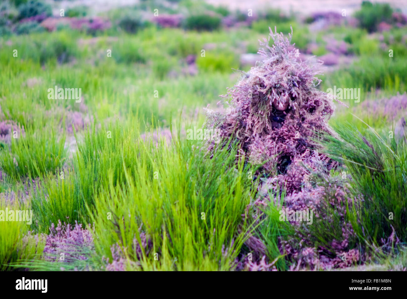 A Royal Air Force RAF regiment sniper soldier in a ghillie suit ...