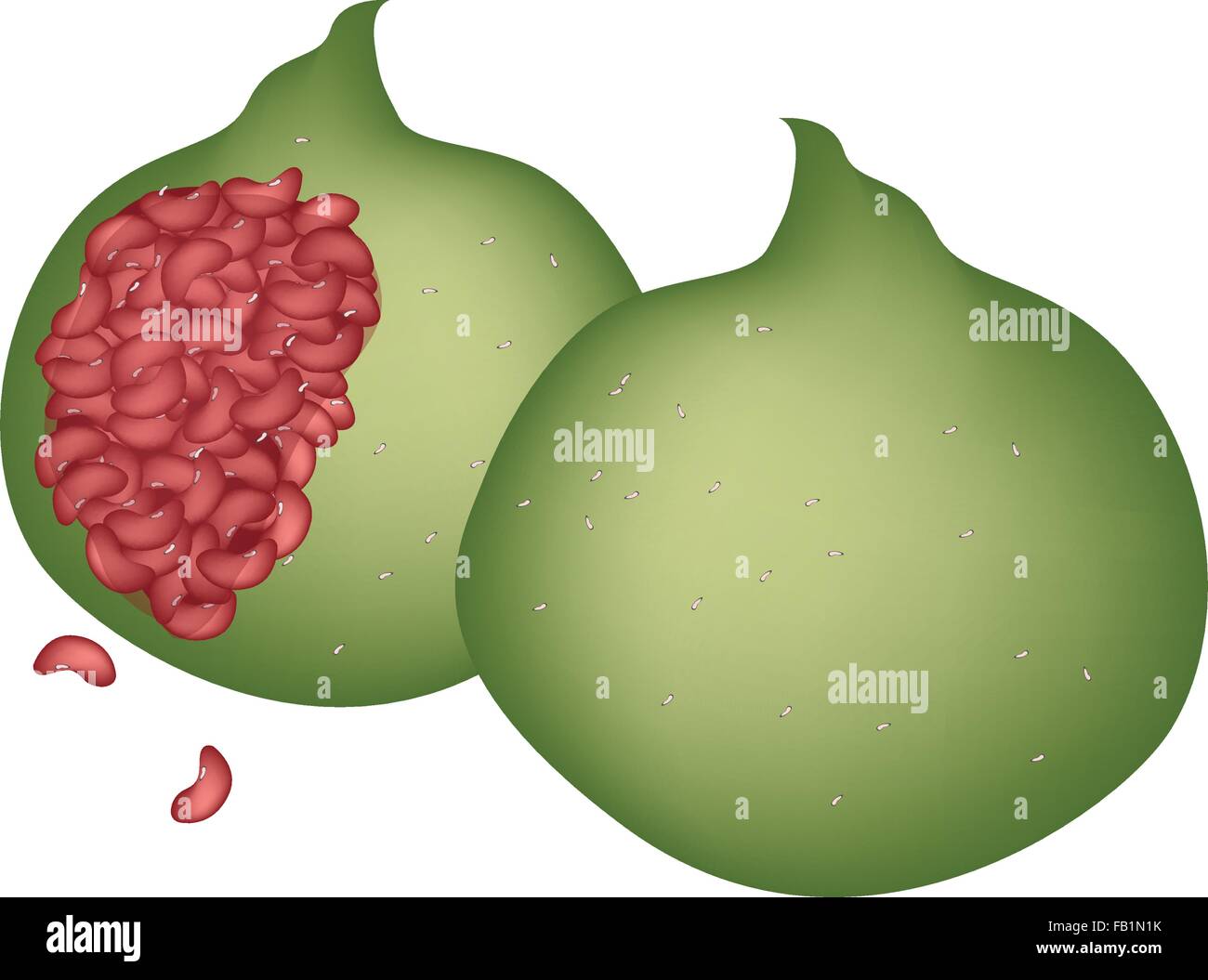 Japanese Traditional Dessert, Kusa Mochi or Yomogi Mochi Made From ...