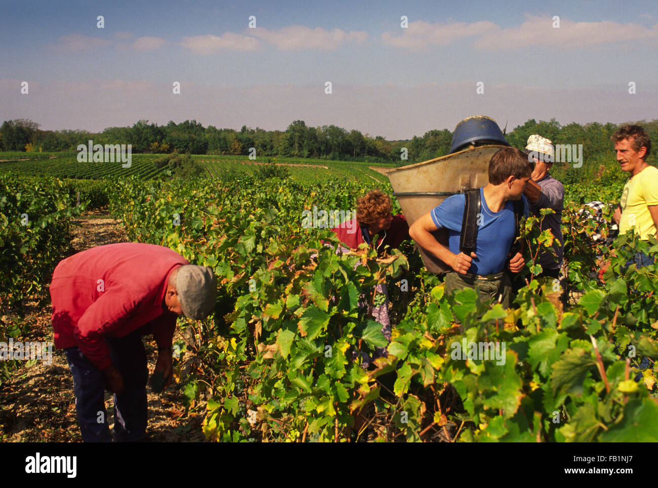 Vouvray loire valley region france hi-res stock photography and images ...