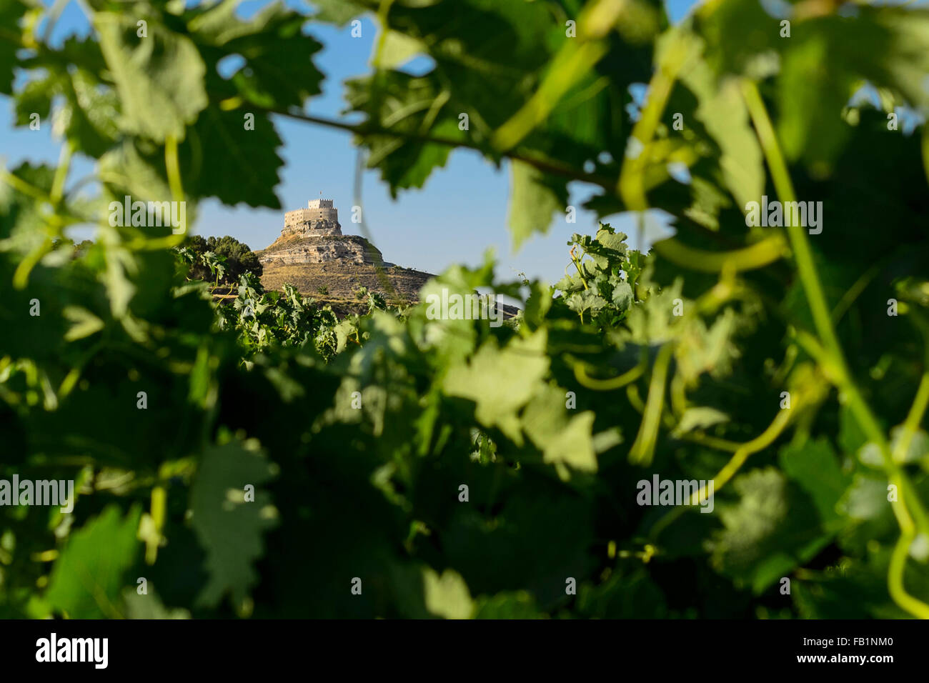 Curiel de Duero castle Stock Photo - Alamy
