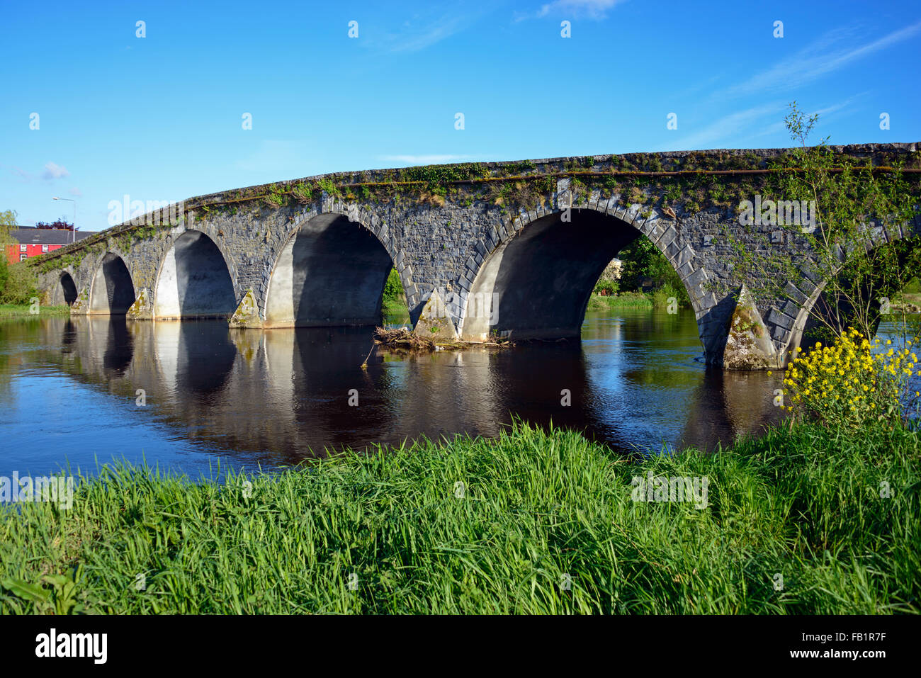 Bennettsbridge, bridge over River Nore, County Kilkenny, Ireland Stock ...