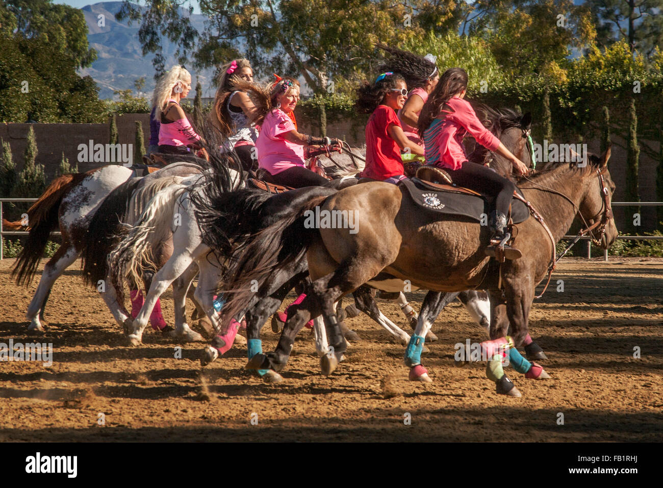 Multiracial adult women ride their horses at full gallop at an ...