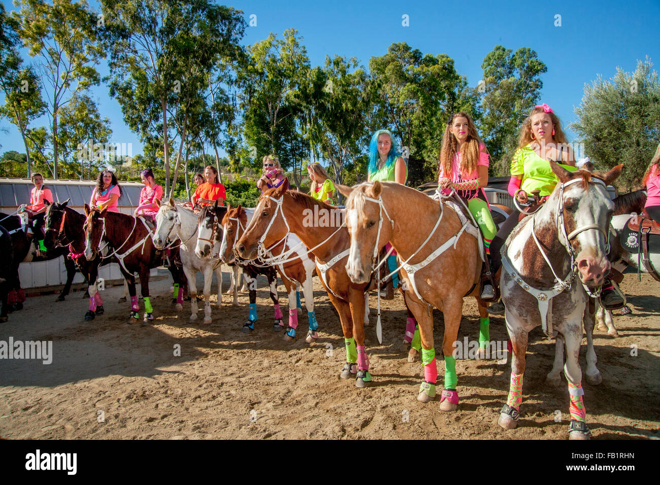 Girl meets horse hi-res stock photography and images - Alamy