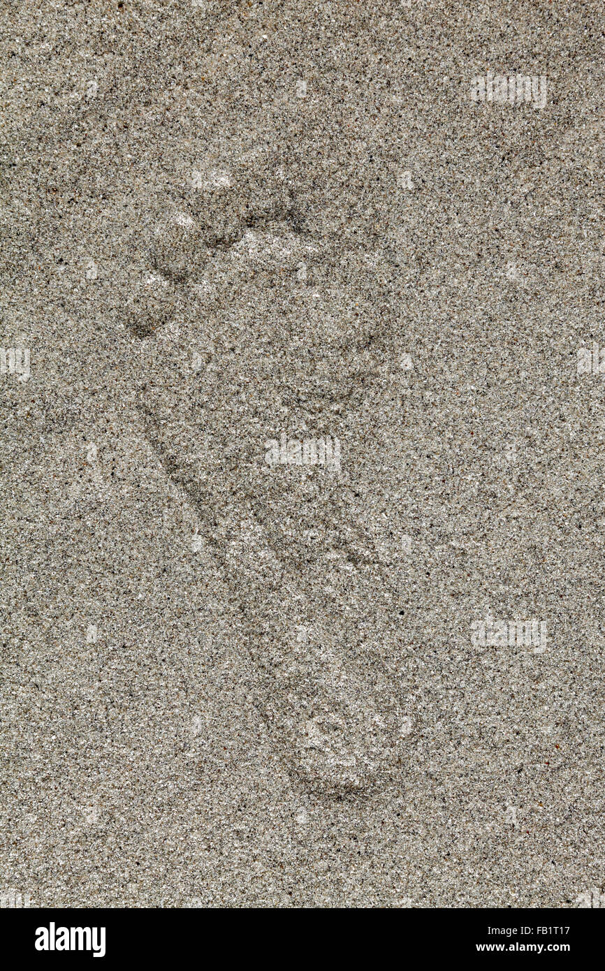 Adult Foot Prints High Resolution Stock Photography and Images - Alamy