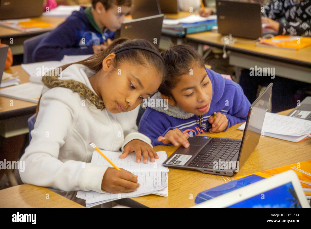 Hispanic third grade students enter information in their Google ...