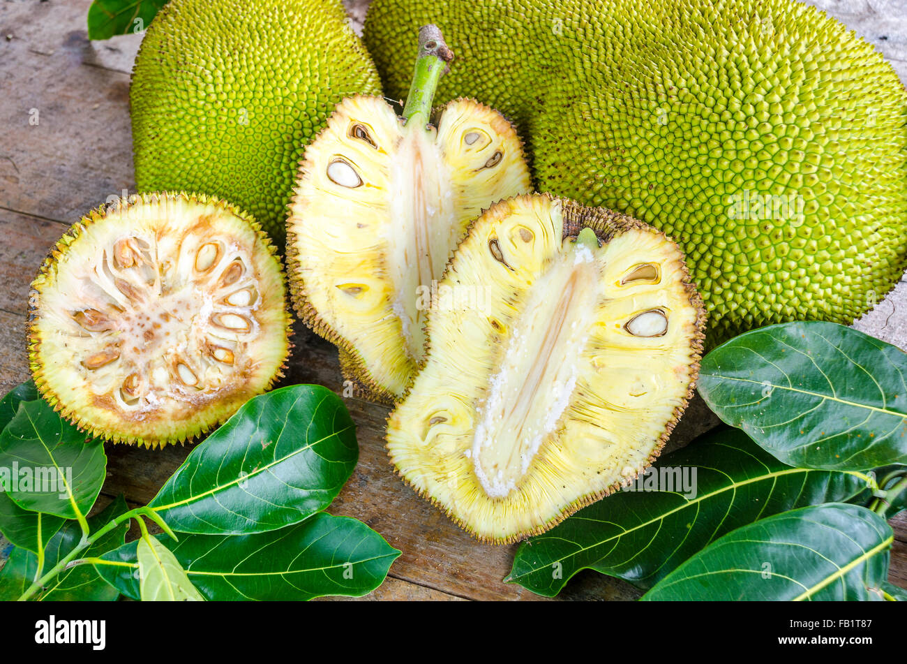 Jackfruit And Durian