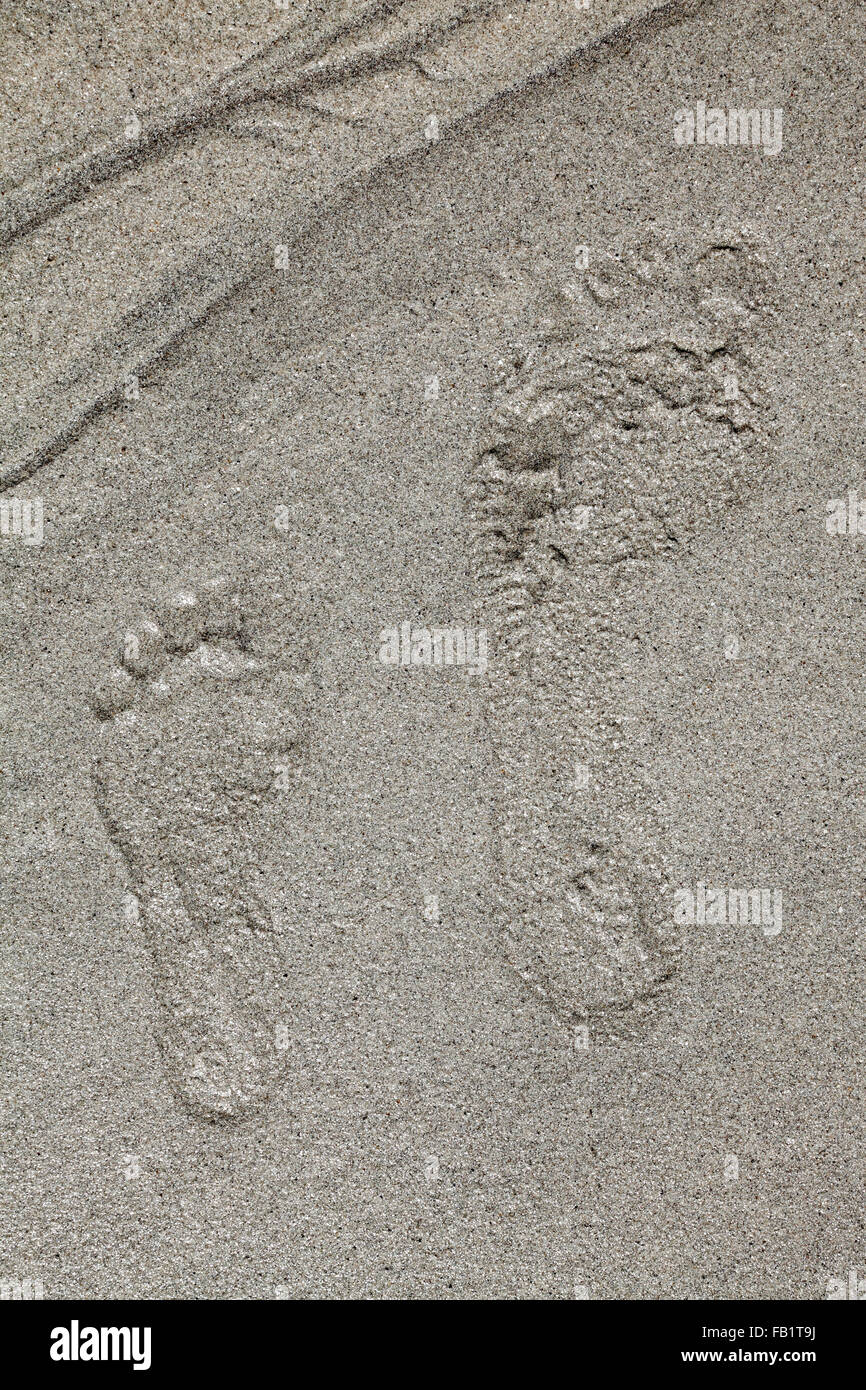 Adult Child Footprints In Sand High Resolution Stock Photography and ...