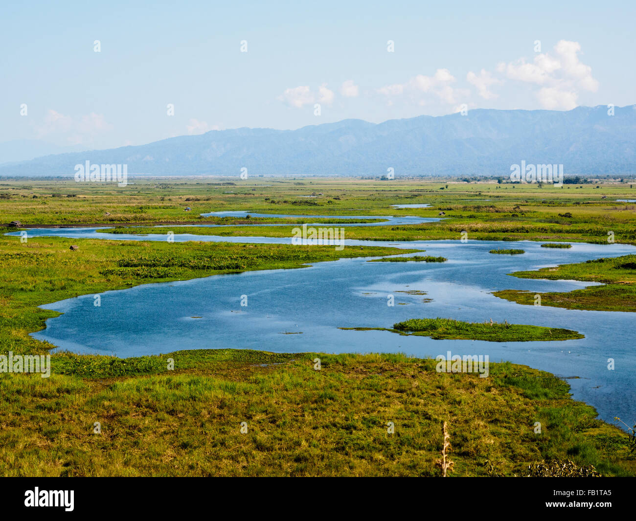 The wetland of Indawgyi Lake, Kachin State, Myanmar Stock Photo - Alamy