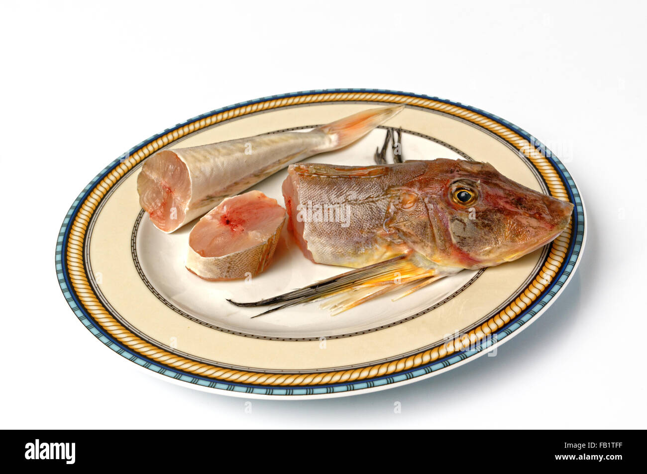 Sea red gurnard gallinella fish Stock Photo - Alamy