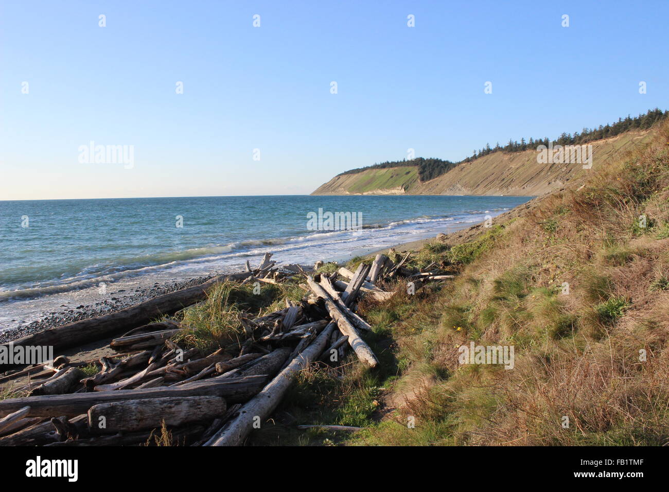 Whidbey island beach hi-res stock photography and images - Alamy