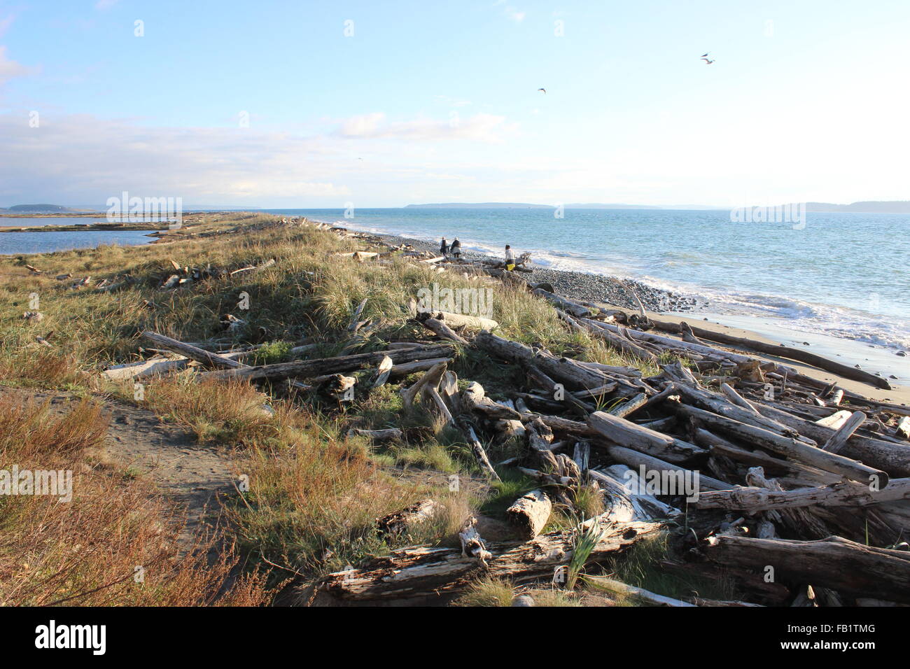 Water ocean lake hi-res stock photography and images - Alamy