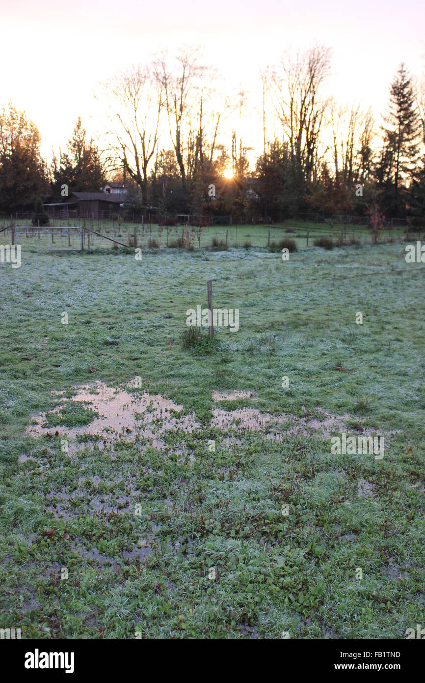 sunrise on farm Stock Photo - Alamy