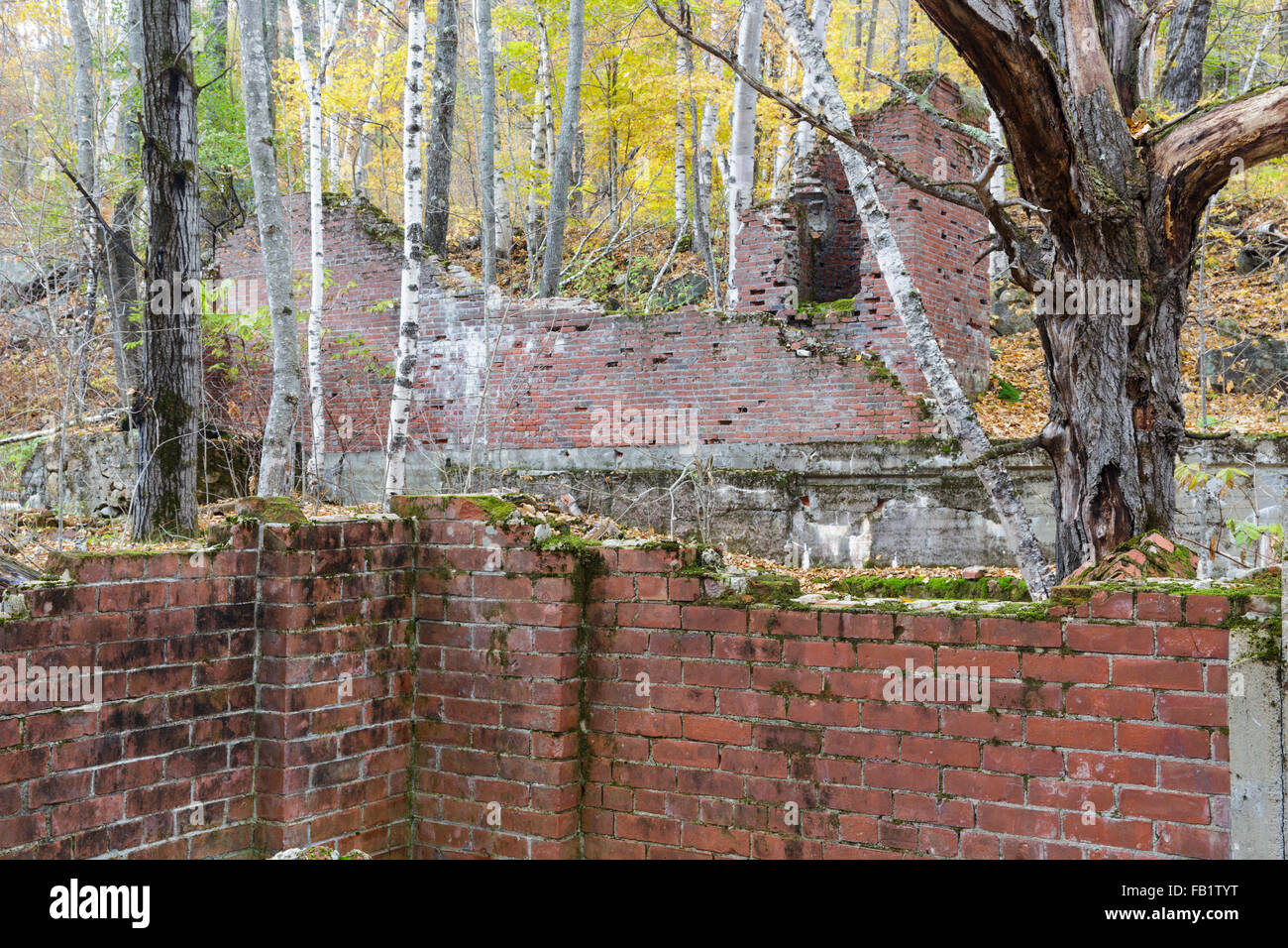 Remnants of the powerhouse in the abandoned village of Livermore, New ...