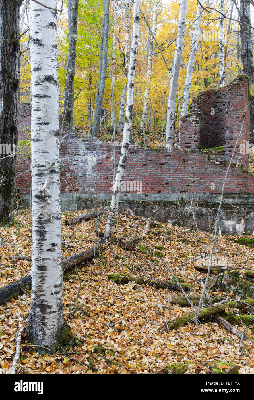The abandoned village of Livermore in New Hampshire USA. This was a ...