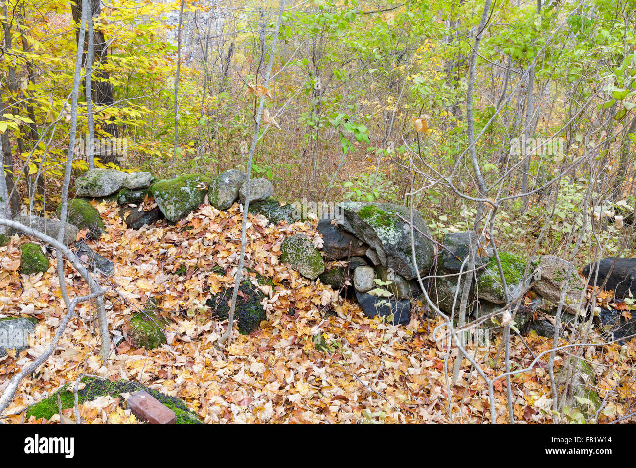 The abandoned village of Livermore in New Hampshire USA. This was a ...