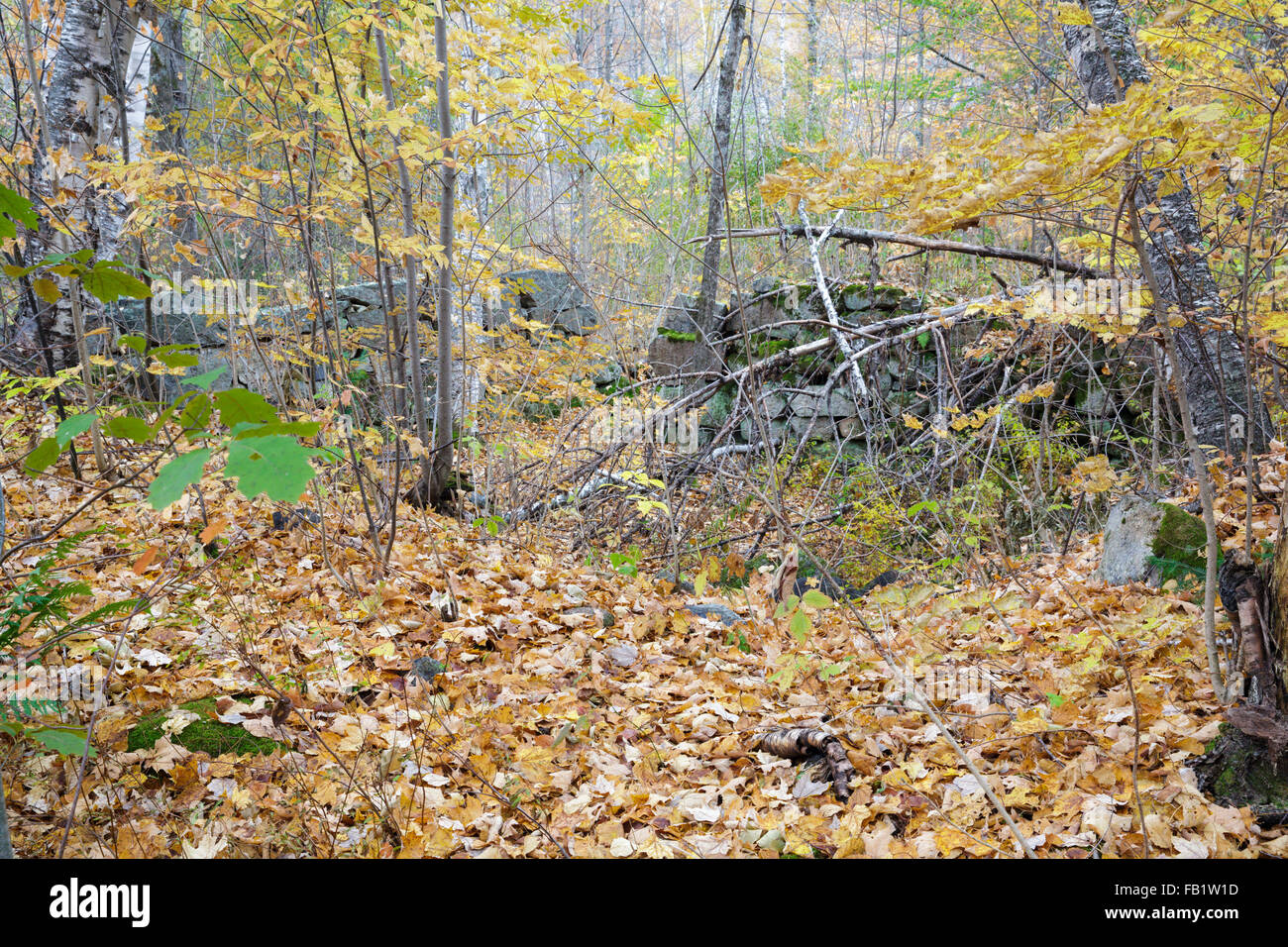 The abandoned village of Livermore in New Hampshire USA. This was a ...