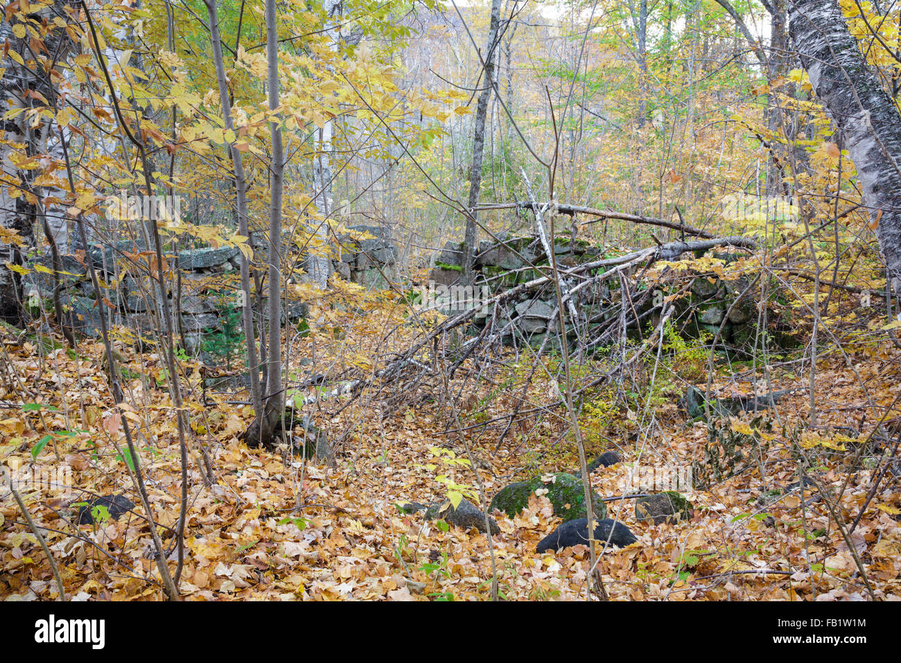 The abandoned village of Livermore in New Hampshire USA. This was a ...