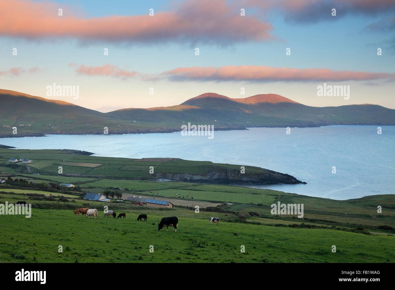 coast at the Skellig Ring between Keel and Portmagee with view to hill ...