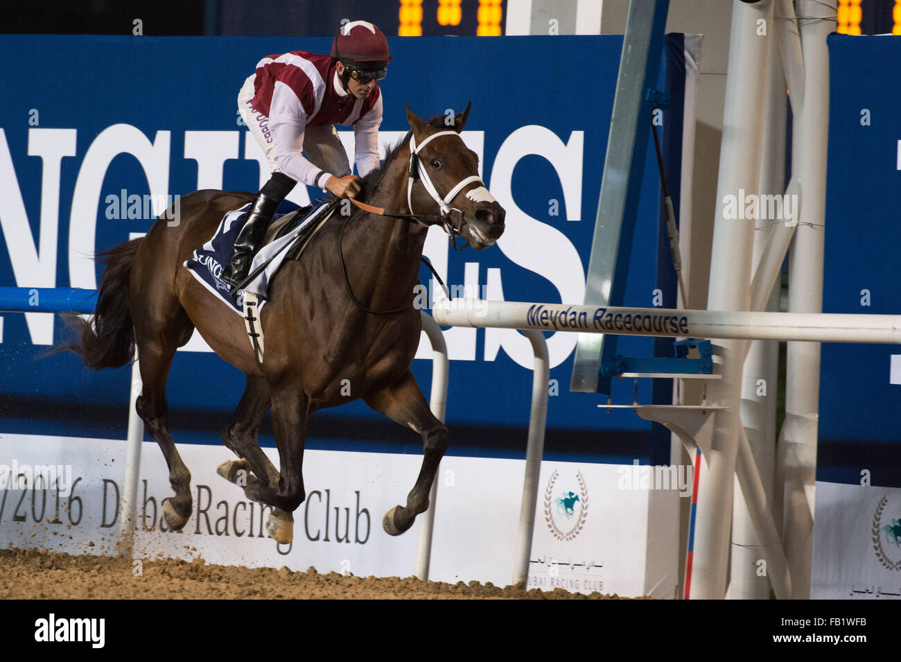 Flat race jockey pat dobbs hi-res stock photography and images - Alamy