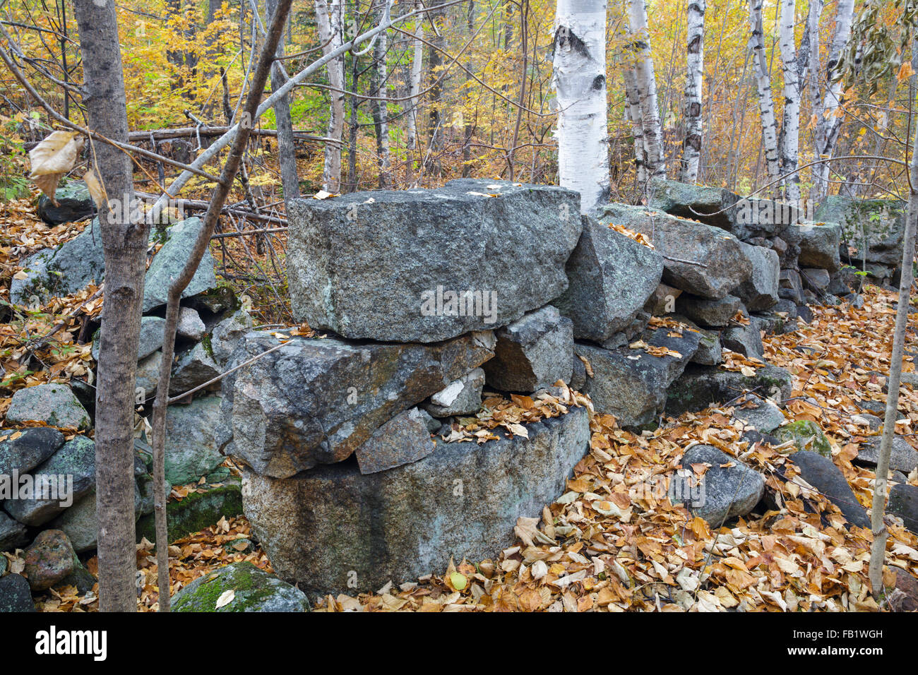 The abandoned village of Livermore in New Hampshire USA. This was a ...