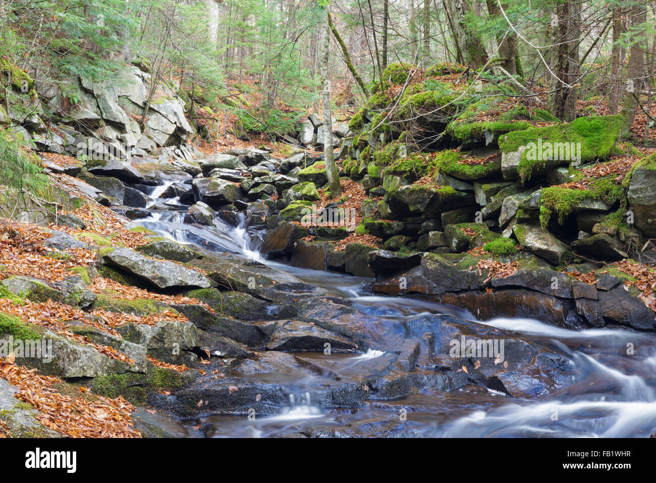Whitcher Brook in Benton, New Hampshire USA during the autumn months ...