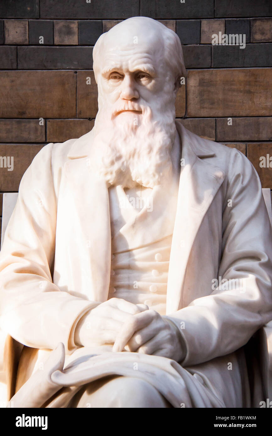 Statue of Charles Darwin at the Natural History museum and was install ...