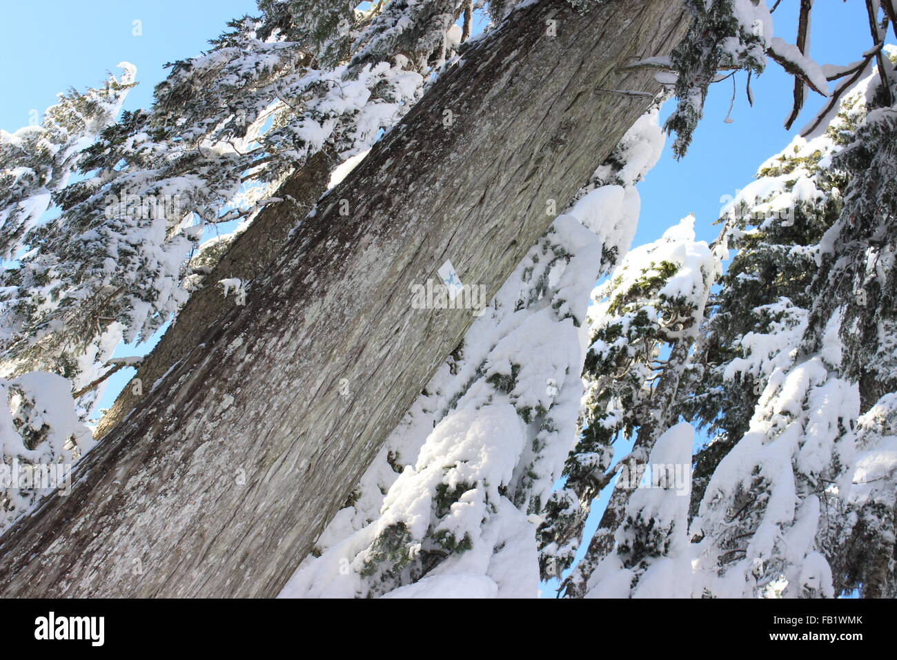 Snow mountains sign hi-res stock photography and images - Alamy
