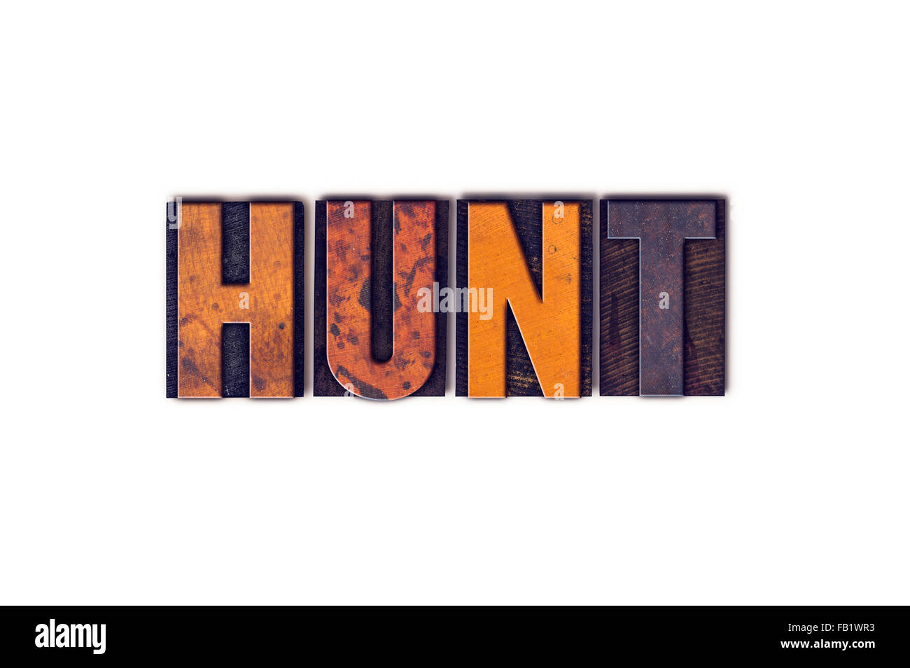 The word "Hunt" written in isolated vintage wooden letterpress type on ...