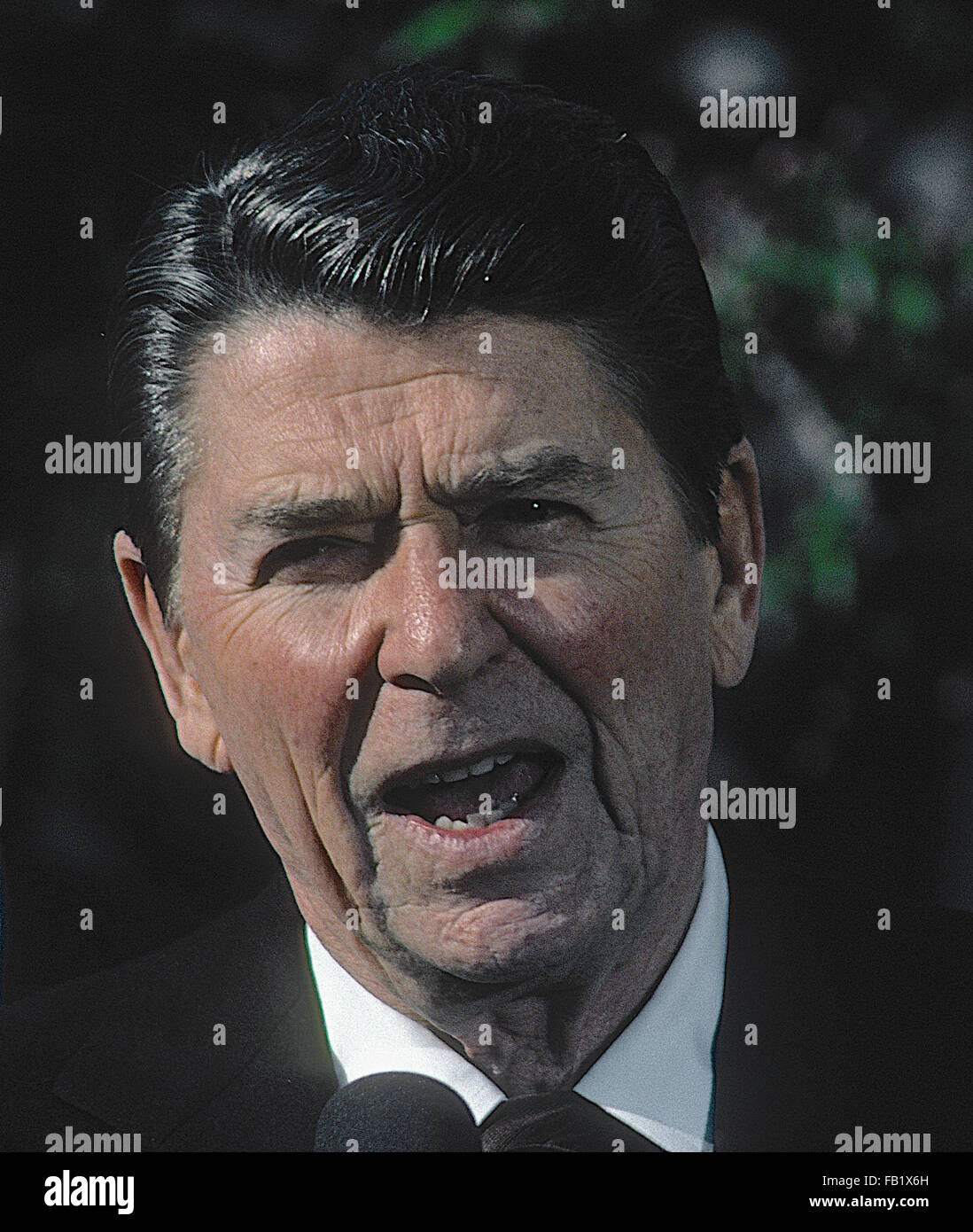 Washington, DC. USA, April, 1984 President Ronald Reagan in the rose ...