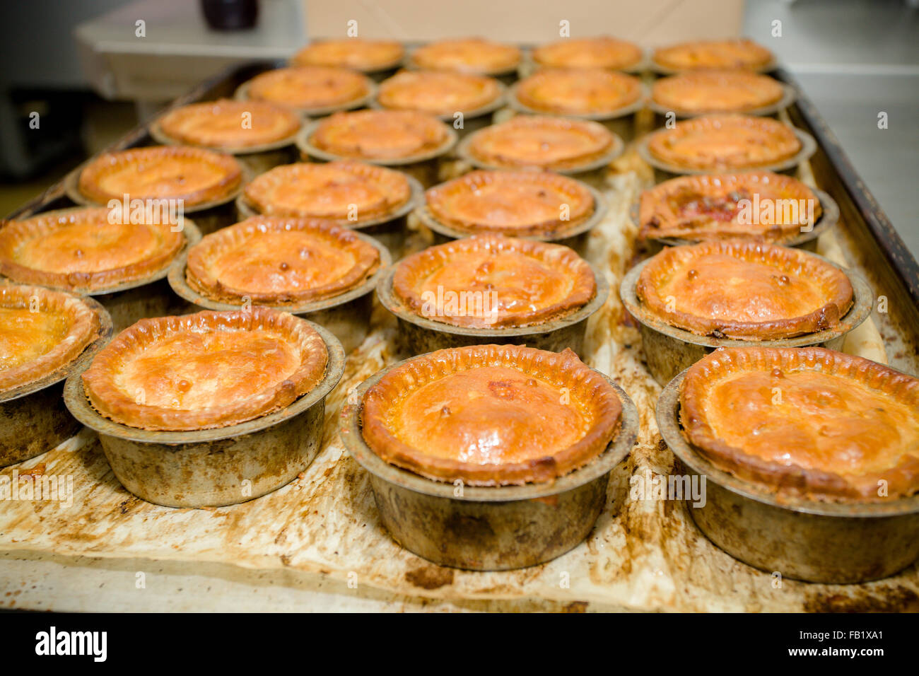 Cooked pork pies just coming out of the oven ready to be put on display ...