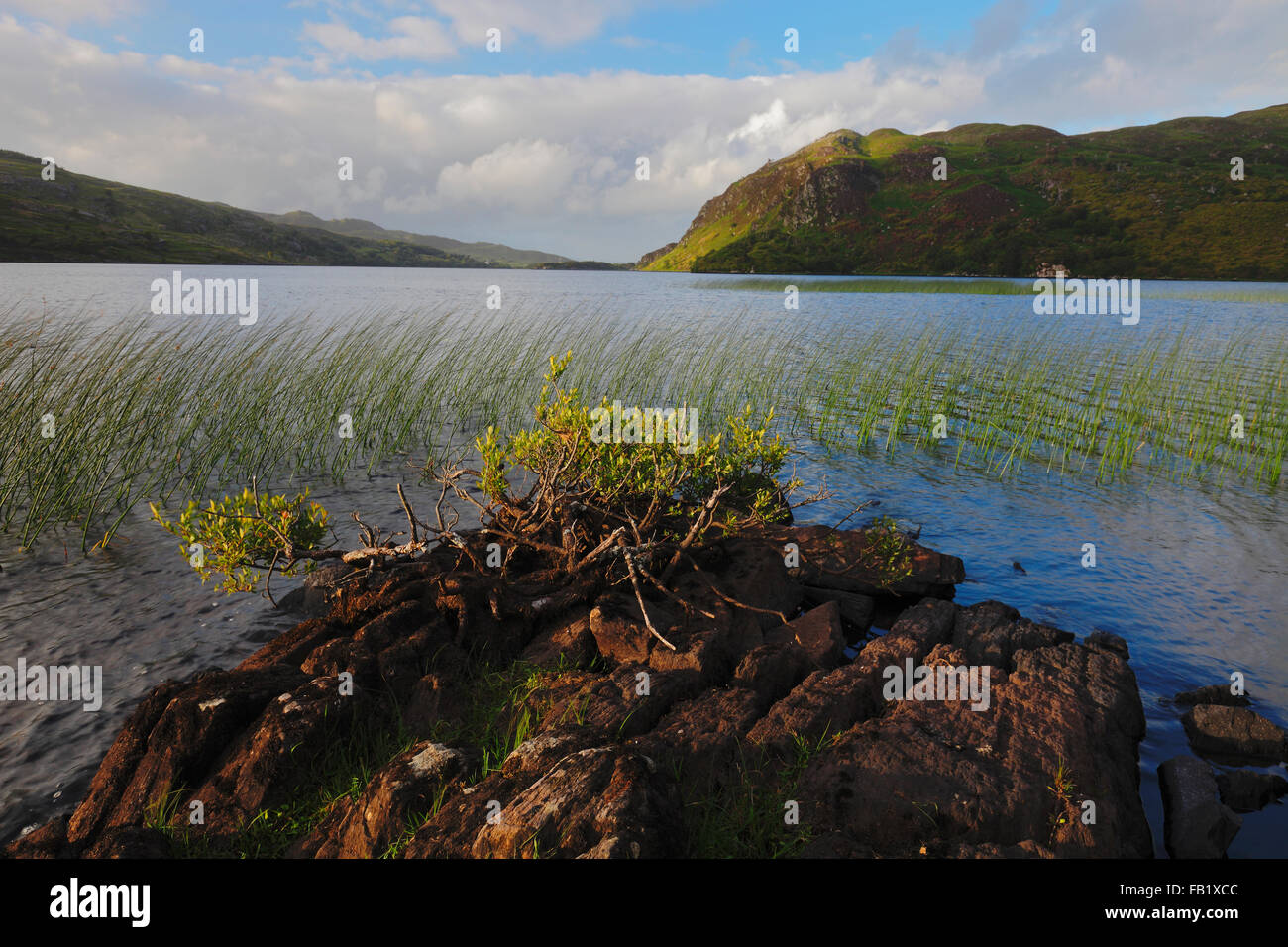 Lough Caragh on Iveragh Peninsula, County Kerry, Ireland Stock Photo ...