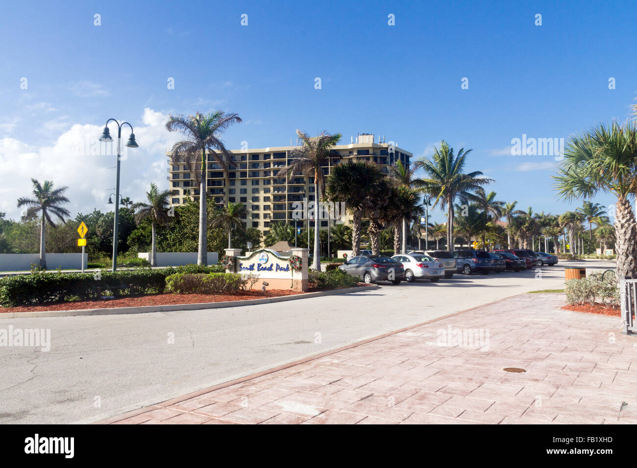 Beach front tree hi-res stock photography and images - Alamy