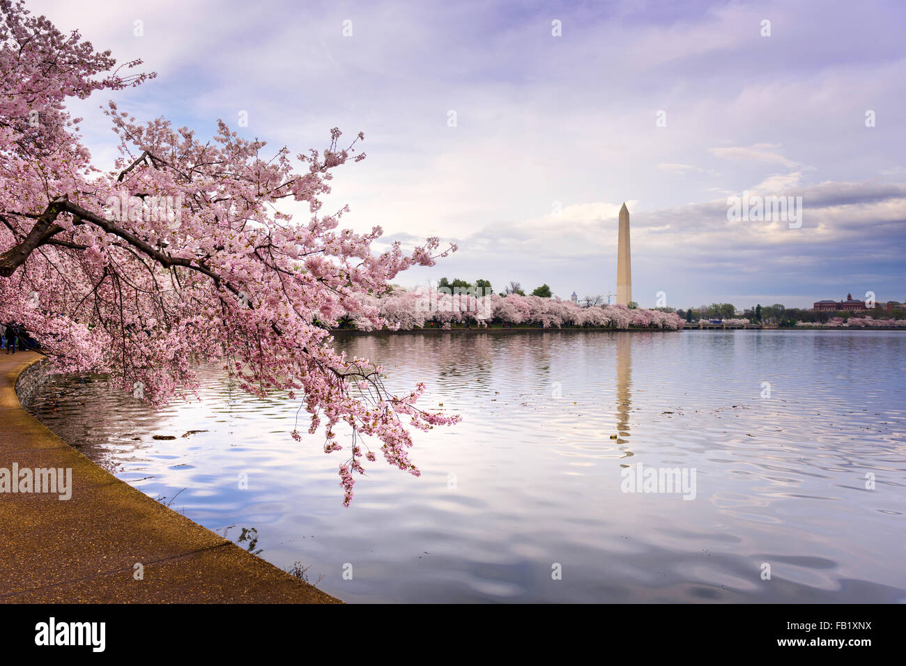 Washington dc festival hi-res stock photography and images - Alamy