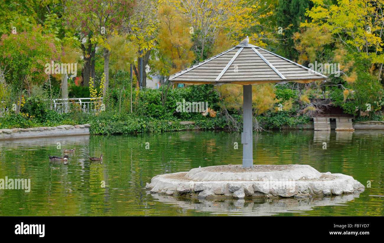 umbrella in the pond of a recreational area in the city of Coslada in ...
