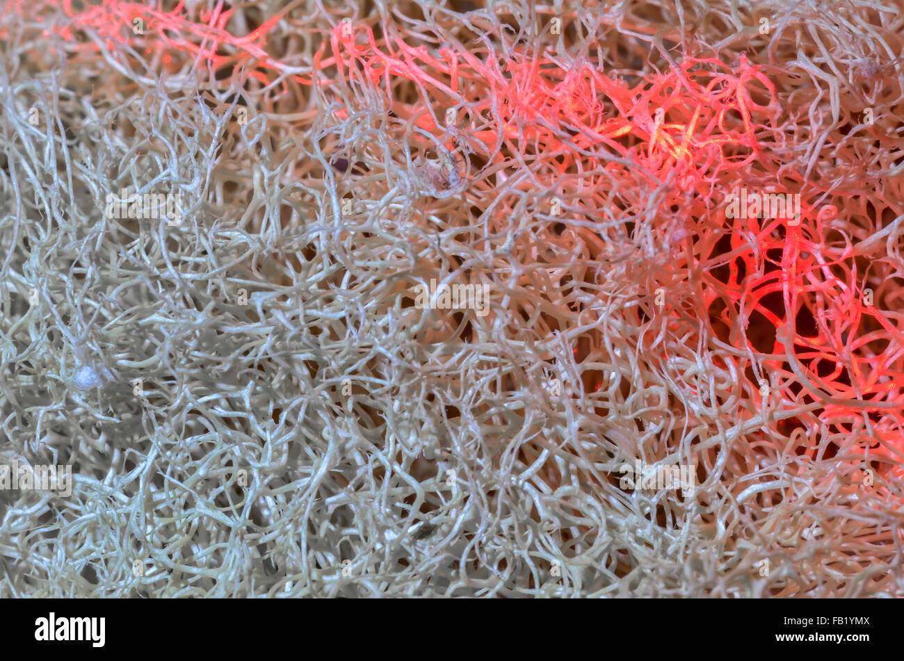 Abstract light painting loofah Background. Close-up Stock Photo - Alamy